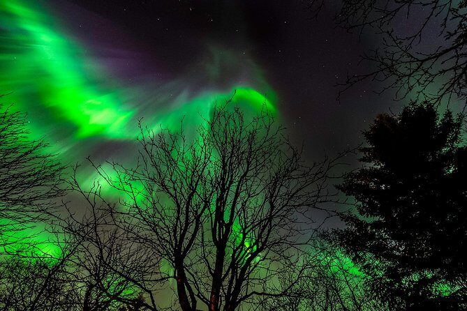 Golden Circle & Northern lights in Iceland - Who Will Love This Tour?