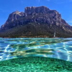 Golfo Aranci: boat tour in the Tavolara Protected Area - An In-Depth Look at the Experience