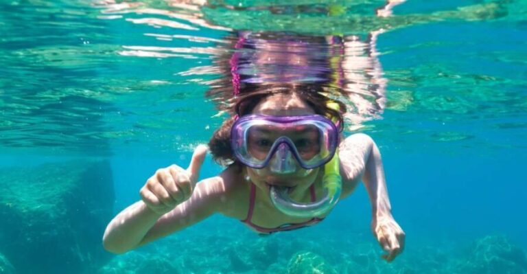 Golfo Aranci: Dolphin Watching and Snorkeling Boat Tour - A Practical Breakdown of the Experience
