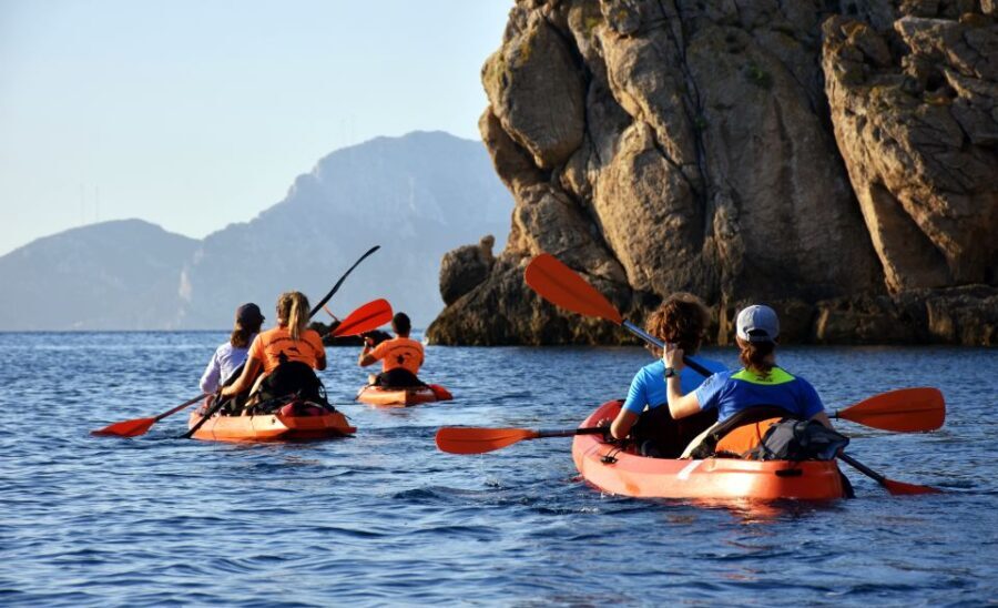Golfo Aranci: Kayak Tour with Dolphins and Aperitif - Oil and Vinegar: How the Tour Unfolds