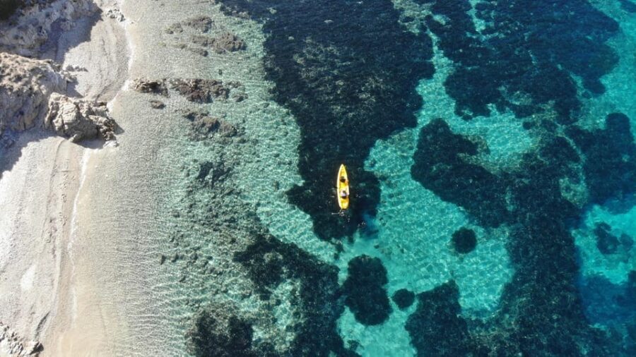Golfo Aranci: Small group Kayak tour with Aperitif &dolphins - Practical Details and What to Expect