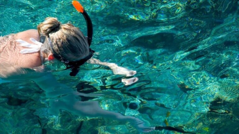Golfo Aranci: snorkelling in Cala Moresca - Itinerary Breakdown