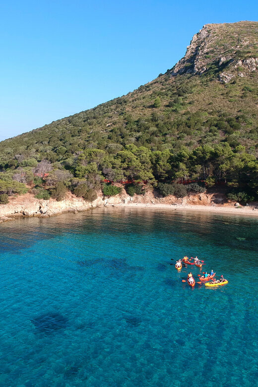 Golfo Aranci: Sunrise Dolphin Kayak Tour with Breakfast - Discovering the Beauty of Golfo Aranci