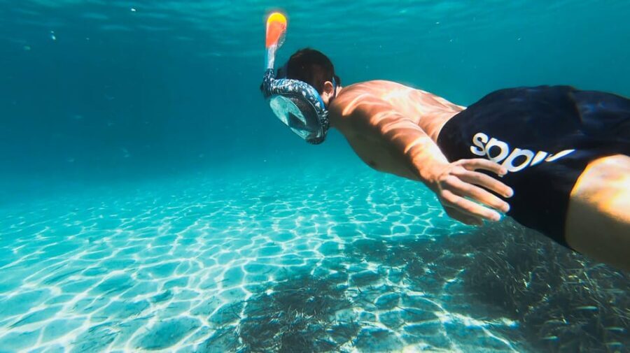 Golfo Aranci: Sunset Dolphin Kayak Tour with Aperitif - Snorkeling and Marine Encounters