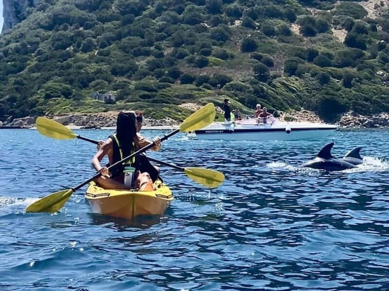 Golfo Aranci:Small group, german guided Kayak tour&Dolphins - Experience the Best of Sardinia’s Coast by Kayak