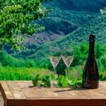 Goriano Valli: Wine Tasting among the Vineyards of Vigna di More - Key Points at a Glance