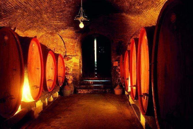 Gourmet Tour in the old town center - Who Should Consider This Tour?
