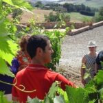 Gourmet Wine Tour - Analyzing the Value