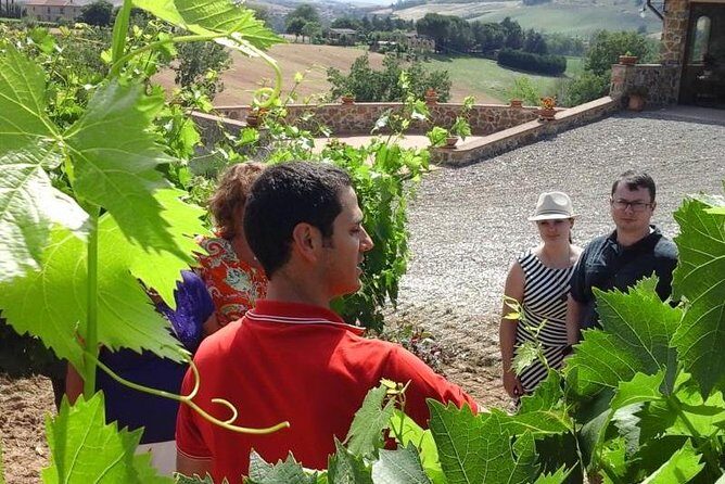 Gourmet Wine Tour - Analyzing the Value