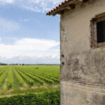 Grado: Journey into Ceramics with Tour & Wine Tasting - Exploring the Itinerary: What to Expect