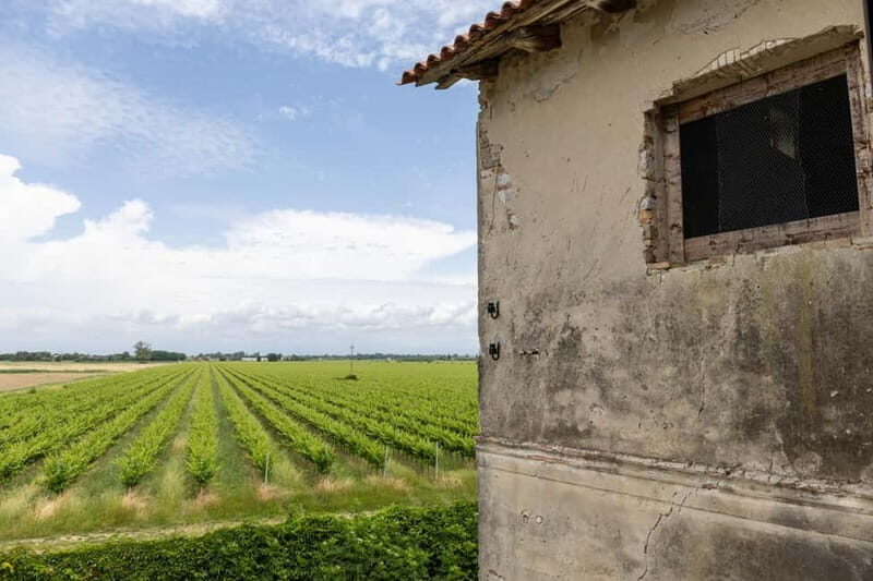 Grado: Journey into Ceramics with Tour & Wine Tasting - Exploring the Itinerary: What to Expect