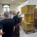 Gragnano Pasta Tour - Who Will Love This Tour?