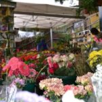 Gran Canaria: 3 Traditional Markets in One day - Is This Tour Worth It?