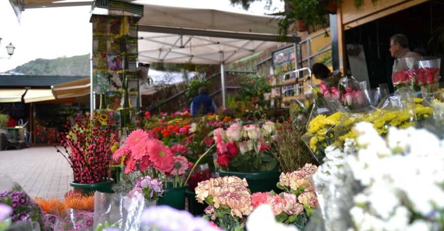 Gran Canaria: 3 Traditional Markets in One day - Is This Tour Worth It?