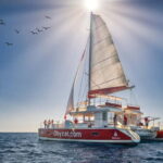 Gran Canaria: All-inclusive tour in the south of Gran Canaria - The Experience in Action: What Reviews Tell Us