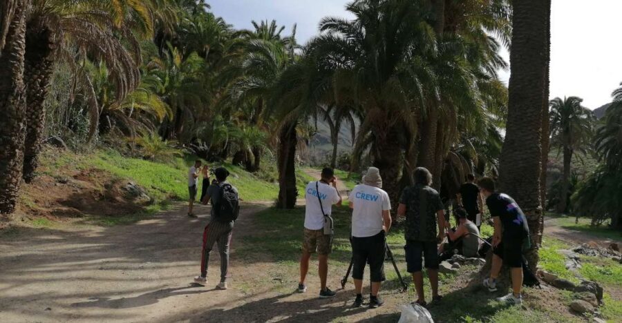 Gran Canaria: Camel Ride at Camel Safari Park - The Practical Side: What You Should Know