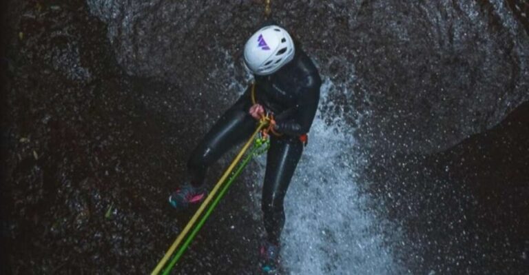 Gran Canaria: Canyoning in the rainforest - What Makes This Tour Stand Out?