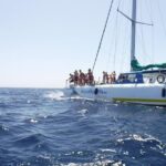 Gran Canaria Catamaran Cruise from Puerto Rico - Key Points