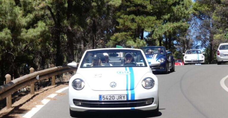 Gran Canaria: Convertible Beetle Tour - Who Should Consider This Tour?