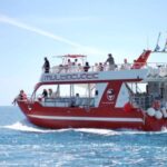 Gran Canaria: Dolphin and Whale Watching Cruise - The Itinerary: What to Expect on Your Marine Adventure