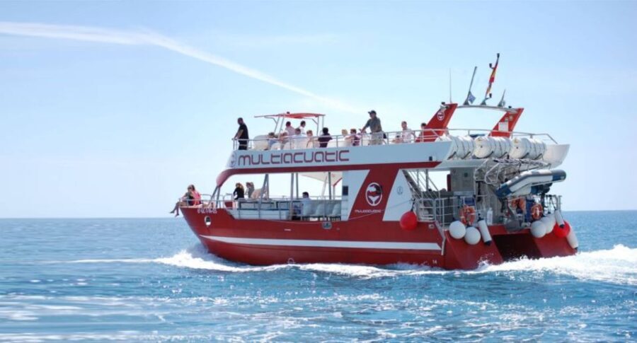 Gran Canaria: Dolphin and Whale Watching Cruise - The Itinerary: What to Expect on Your Marine Adventure