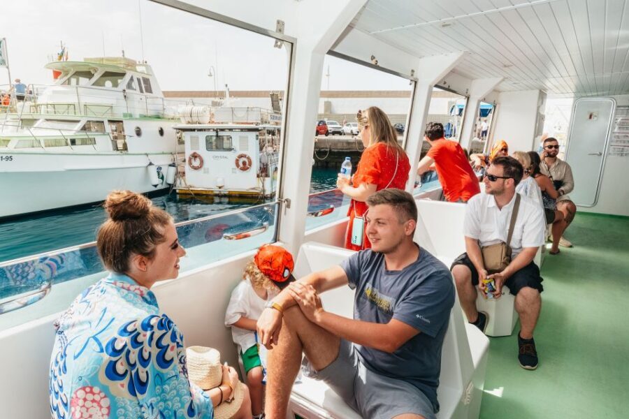 Gran Canaria: Dolphin and Whale Watching Cruise - What to Expect from the Dolphin and Whale Watching Cruise