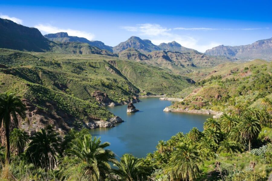 Gran Canaria: Full-Day VIP Tour by Bus - Final Thoughts: Is This Tour for You?