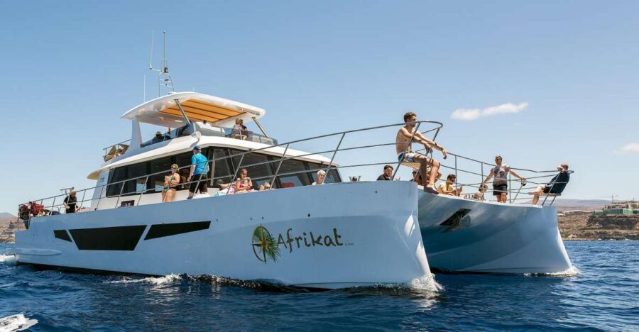 Gran Canaria: Fun Catamaran Cruise with Food and Drinks - Why Travelers Love This Experience