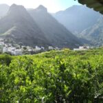 Gran Canaria: Grand Island Tour by Bus with Transfers - What Makes This Tour Stand Out?