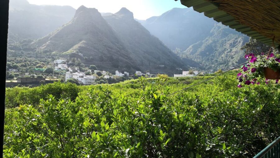 Gran Canaria: Grand Island Tour by Bus with Transfers - What Makes This Tour Stand Out?