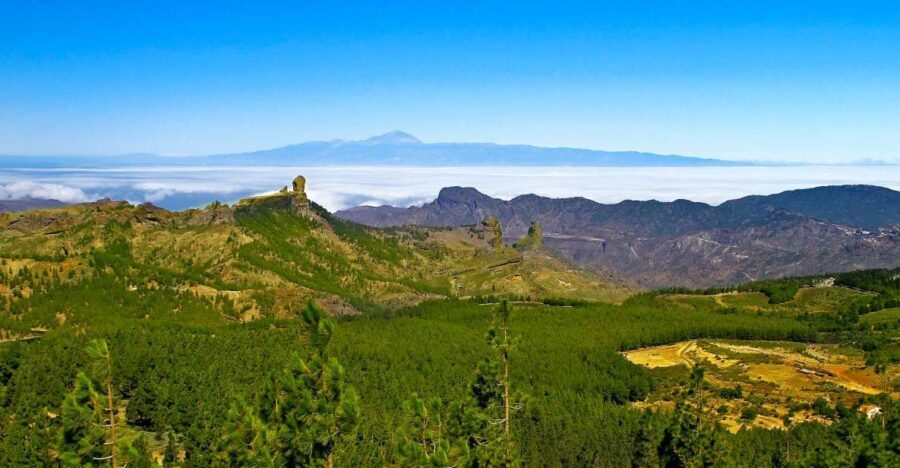 Gran Canaria Highlights Full-Day Tour by Bus - Authentic Encounters and Practical Tips