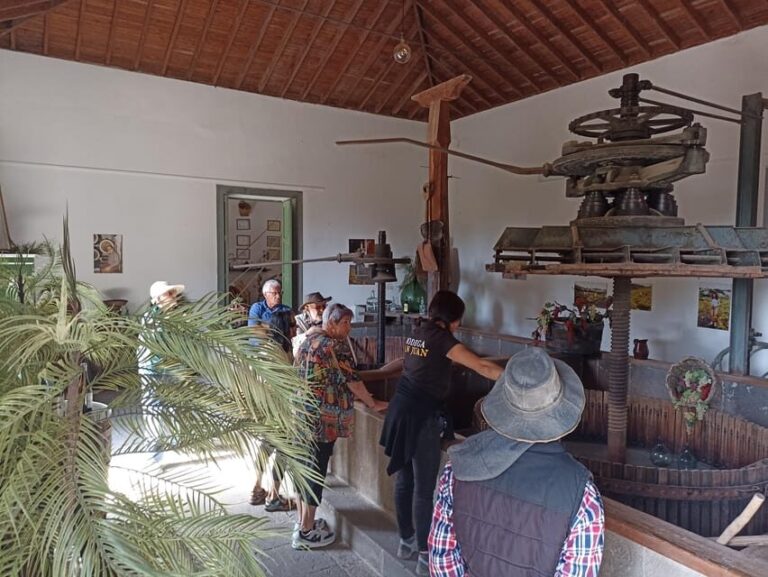 Gran Canaria: Highlights Wine Tasting Tour & shore excursion - The Experience at Each Stop