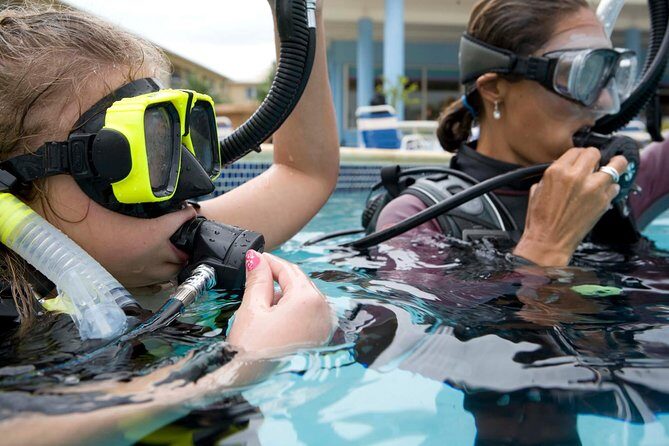 Gran Canaria Kids Underwater Adventure - The Practical Side: Logistics and Value