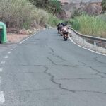 Gran Canaria: Los Pilancones Natural Park e-Scooter Tour - Who Will Love This Tour?