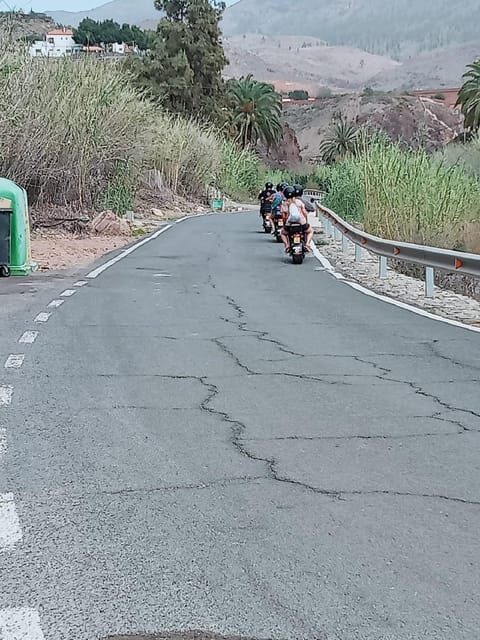 Gran Canaria: Los Pilancones Natural Park e-Scooter Tour - Who Will Love This Tour?