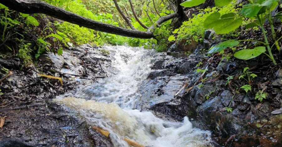 Gran Canaria: "Magic Waterfalls" Hiking Tour - Practical Tips for Participants
