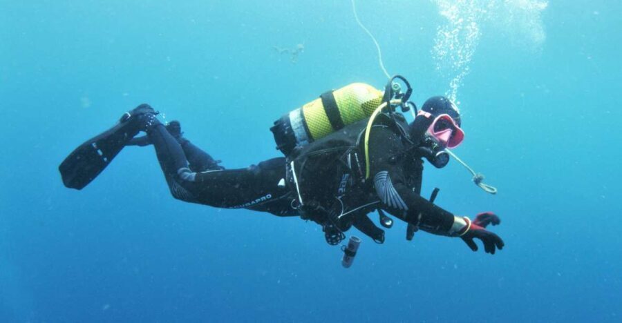 Gran Canaria: Morning Scuba Dive - Practical Tips for Your Dive Day