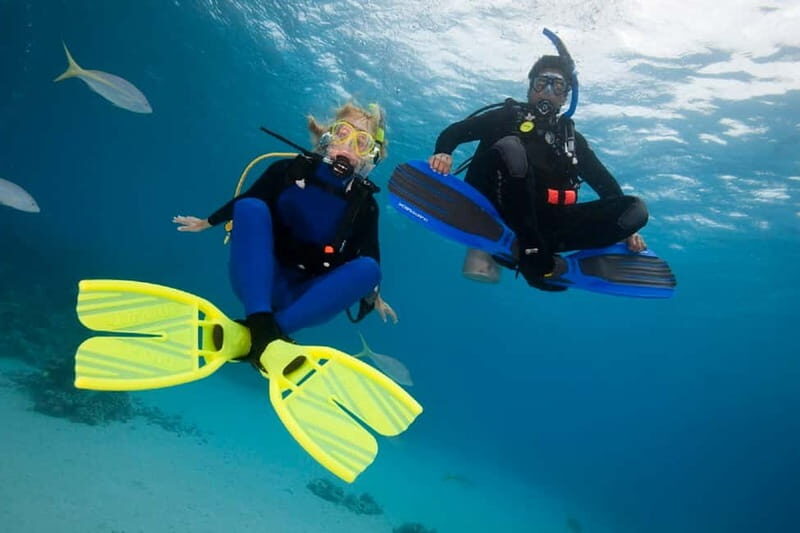 Gran Canaria: PADI Open Water Diver Course - What Reviewers Are Saying