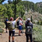 Gran Canaria: "Peaks of Gran Canaria" Hiking Tour - Practicalities and Considerations