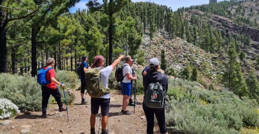Gran Canaria: "Peaks of Gran Canaria" Hiking Tour - Practicalities and Considerations