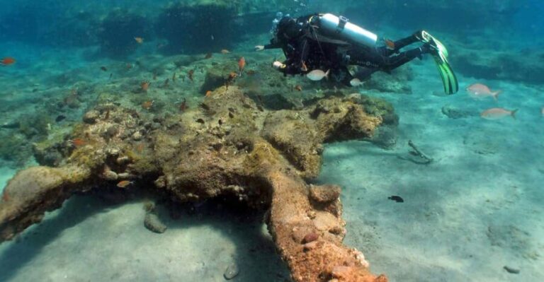 Gran Canaria Scuba Diving: 3-Day 6-Dive Package - What’s Included and What’s Not
