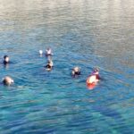 Gran Canaria: Snorkeling Trip - The Experience: Natural Beauty and Expert Guidance