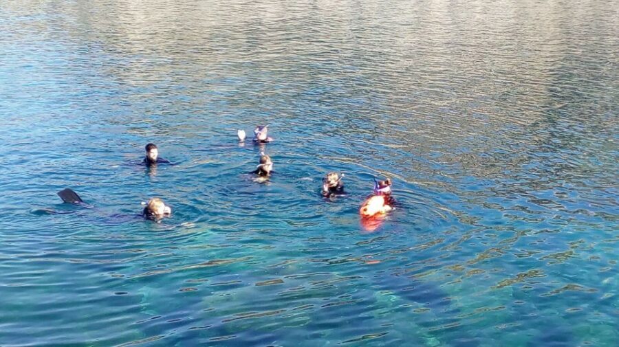 Gran Canaria: Snorkeling Trip - The Experience: Natural Beauty and Expert Guidance