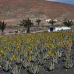 Gran Canaria Tour: Past and Present - How the Day Unfolds
