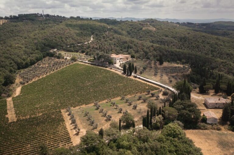 Gran Cru Wines Tasting - Mocenni Estate - A Closer Look at the Experience