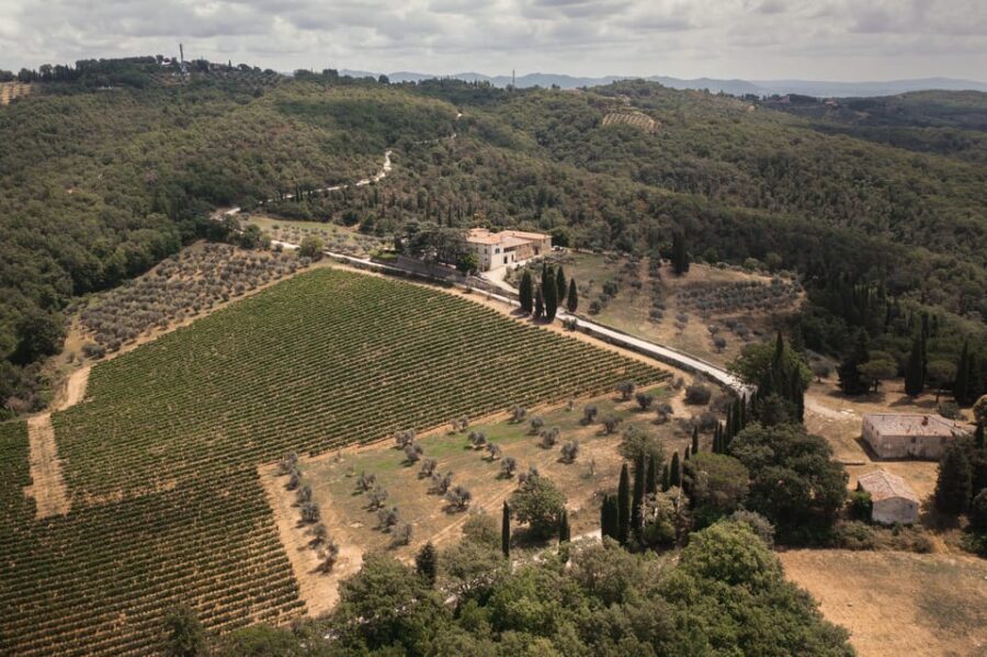 Gran Cru Wines Tasting - Mocenni Estate - A Closer Look at the Experience
