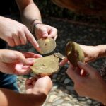 Granada: Alhambra and Nasrid Palaces Private Tour - What to Expect: A Close-Up Look at the Alhambra