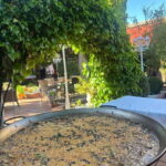Granada: Dinner with Paella on a Terrace in the Albayzín and Live Flamenco - Who Is This Tour Best For?