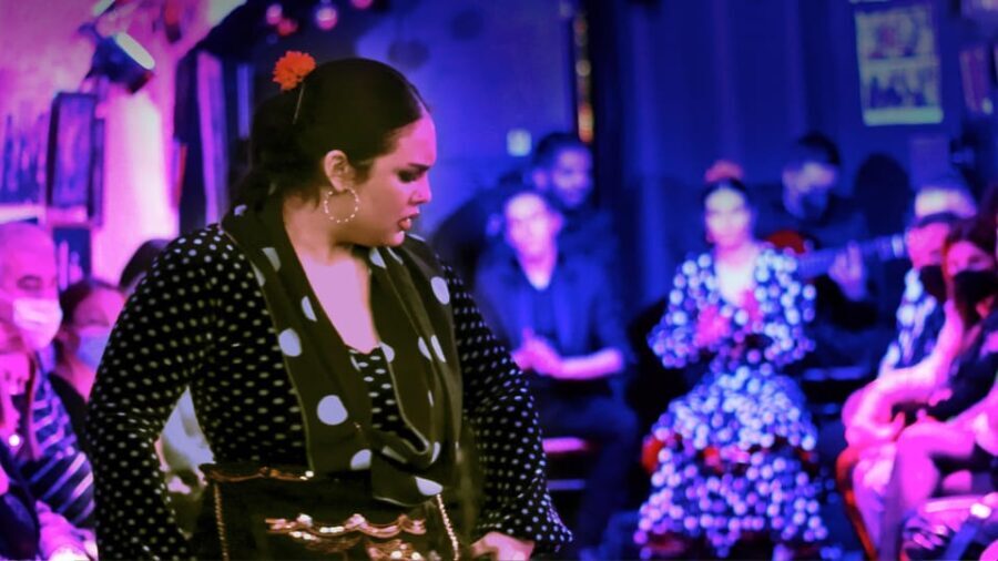 Granada: Flamenco Show at Cueva de la Rocío - An In-Depth Look at the Flamenco Experience