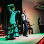 Granada: Flamenco Show in La Alboreá - Who Should Consider This Experience?